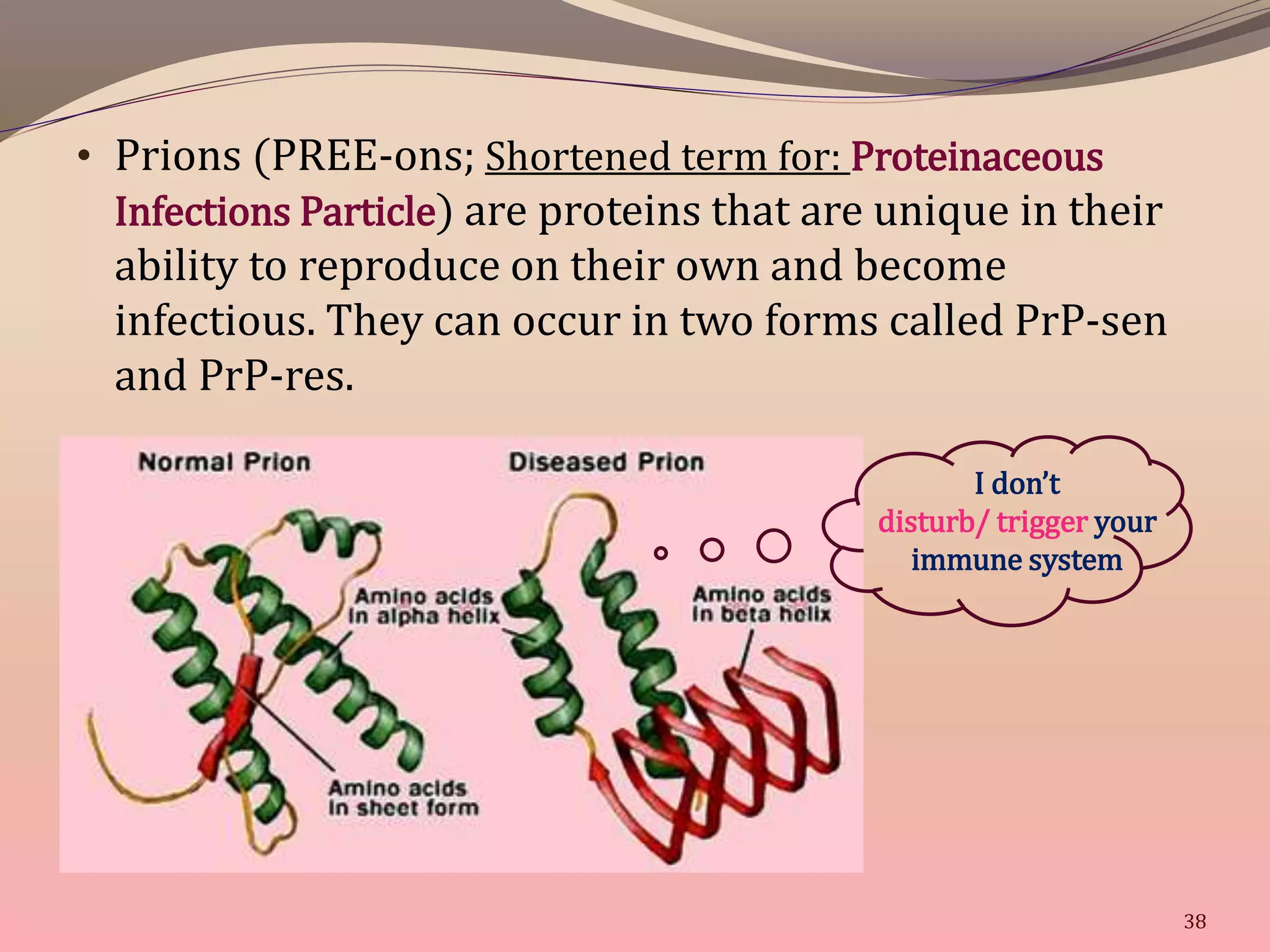 5 subviral agents-sattelite_viroids_prions.pptx