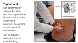 Urinary System international university of Kyrgyzstan | PPT