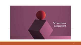 Presentation on 5S workplace management | PPTX