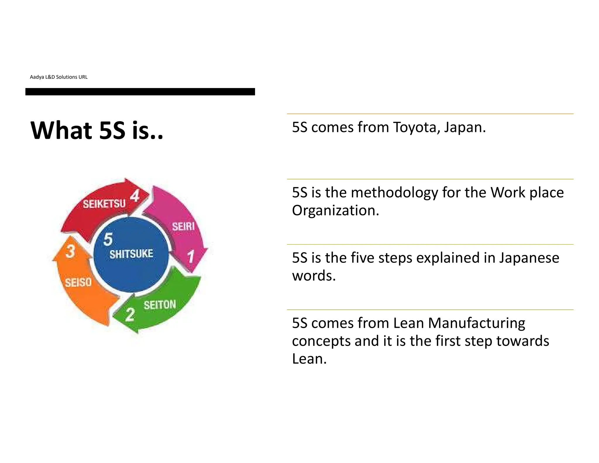 5S Workplace Organization Techniques Training module | PDF