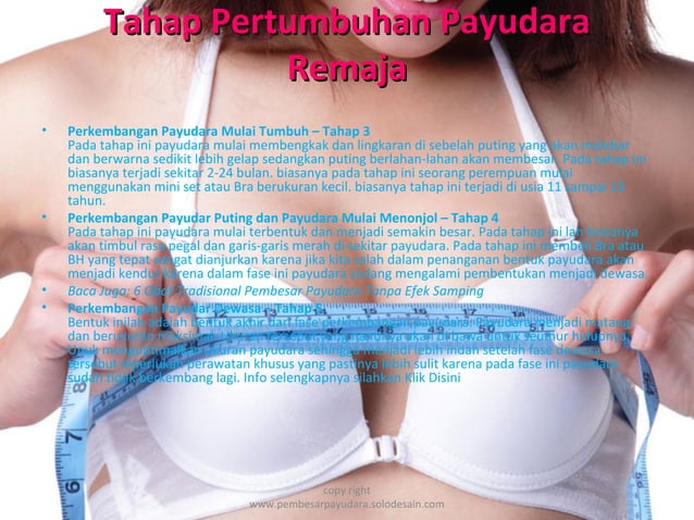 5 tahap pertumbuhan payudara remaja | PPT