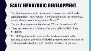 development of face OMFS presentation.pptx