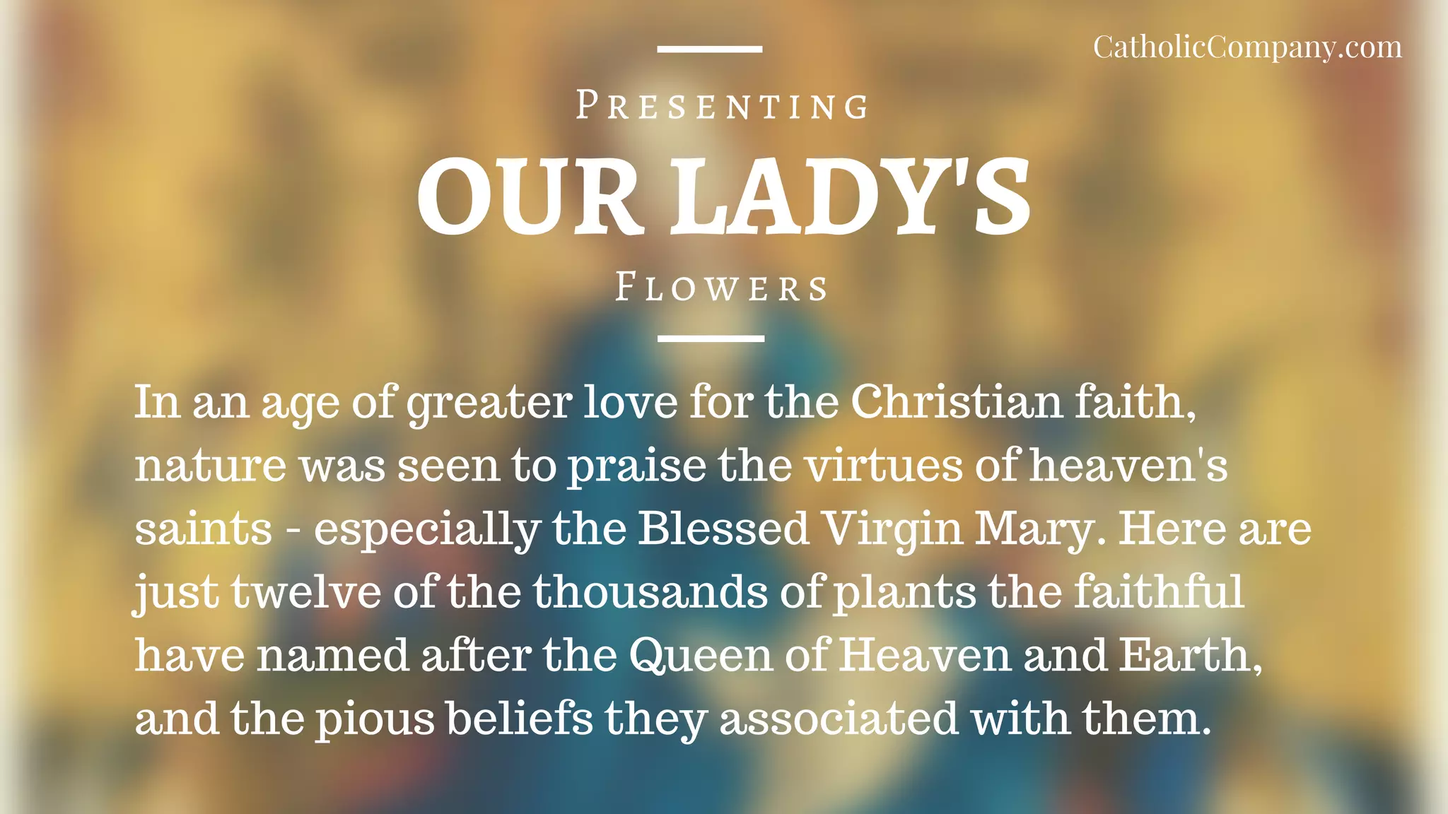 12 Garden Plants Named after the Blessed Virgin Mary | PDF