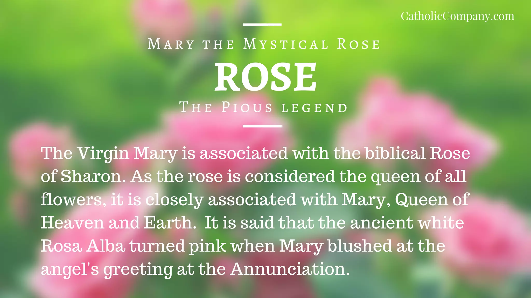12 Garden Plants Named after the Blessed Virgin Mary | PDF