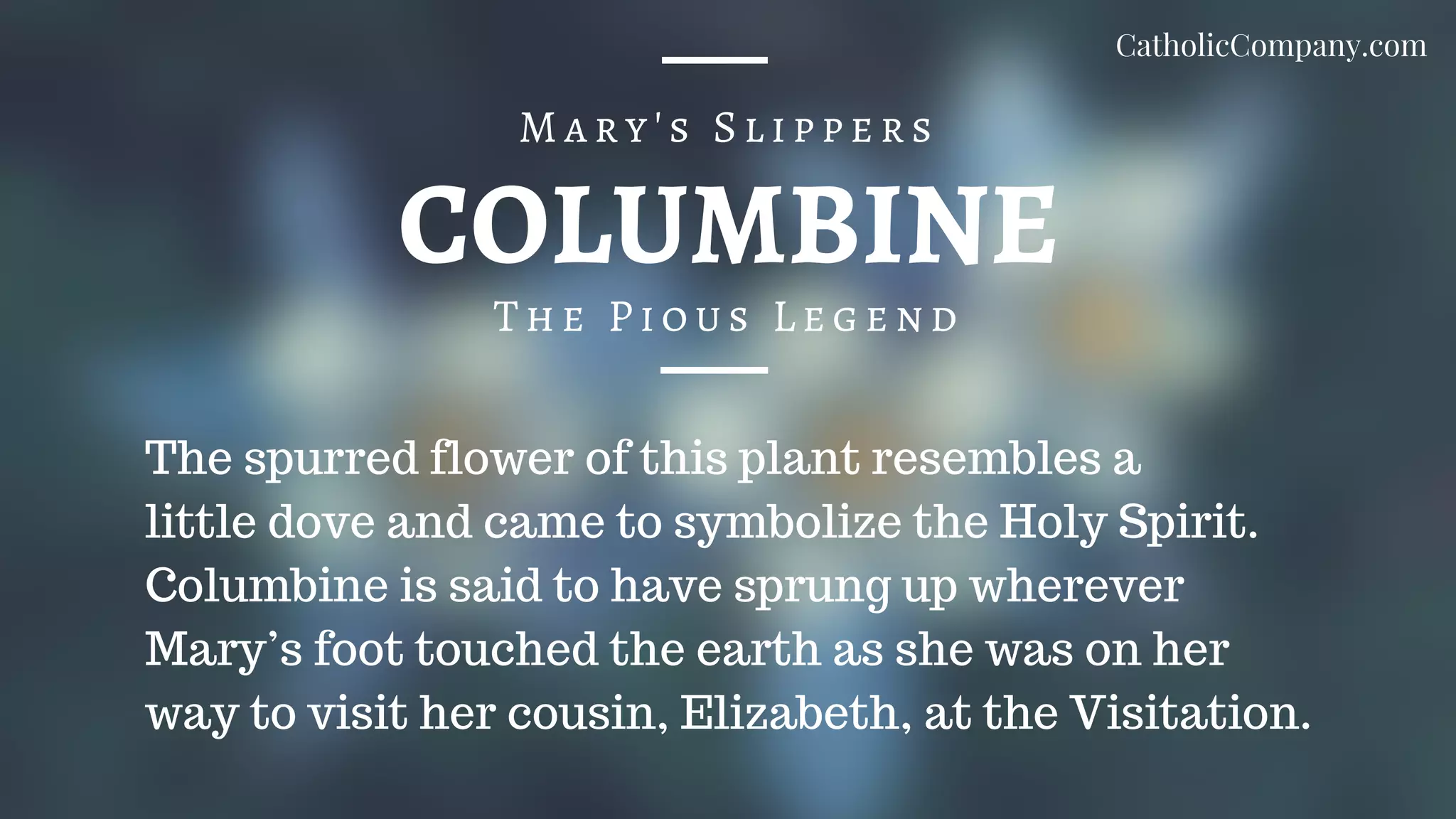 12 Garden Plants Named after the Blessed Virgin Mary | PDF