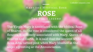 12 Garden Plants Named after the Blessed Virgin Mary | PPT