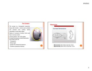 cornea stricture and disorders in the eye | PPT