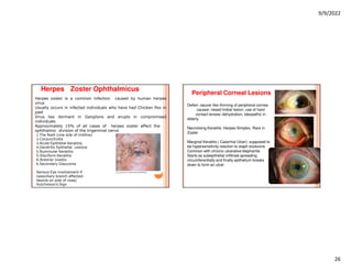 cornea stricture and disorders in the eye | PDF