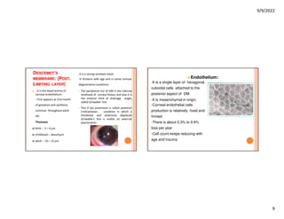 cornea stricture and disorders in the eye | PDF