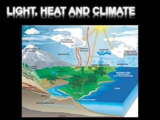 5th - Block 5 - the sun a source of heat and light | PPT