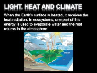 5th - Block 5 - the sun a source of heat and light | PPTX