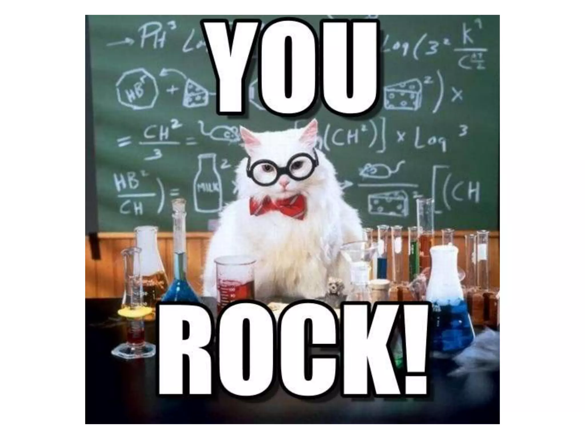 Life Cycles in Ecosystems | PPTX