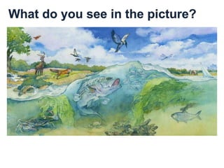 Life Cycles in Ecosystems | PPTX