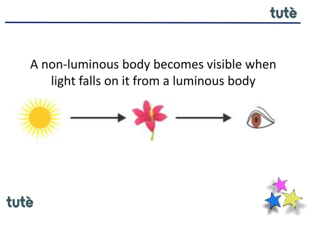 5th-icse - light and shadows - science. | PPTX | Educational Assessment ...