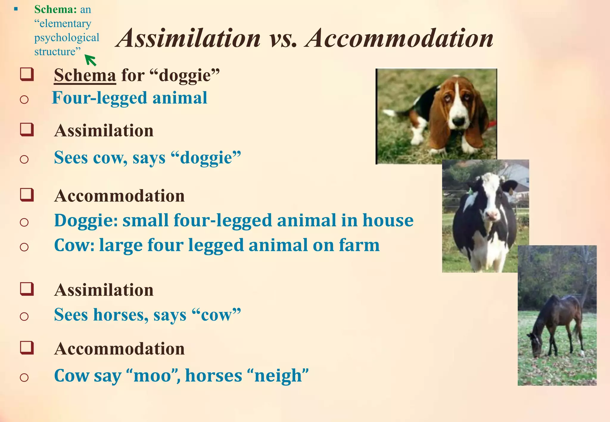 Assimilation vs accommodation-final | PPSX