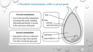 5th-PPT-of-Foods-and-Industrial-MicrobiologyCourse-No.-DTM-321.pdf