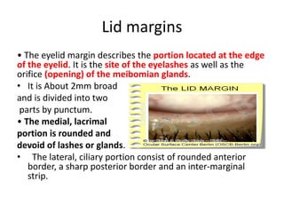 Ophthalmology | PPTX