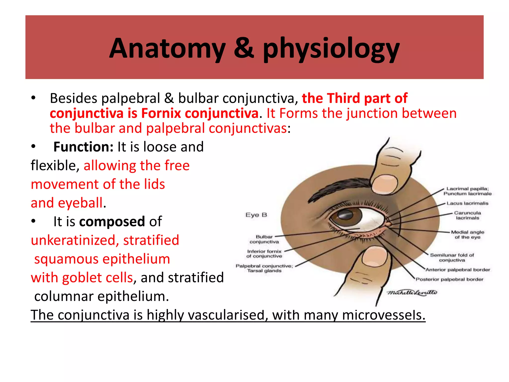 Diseases of conjunctiva | PPTX