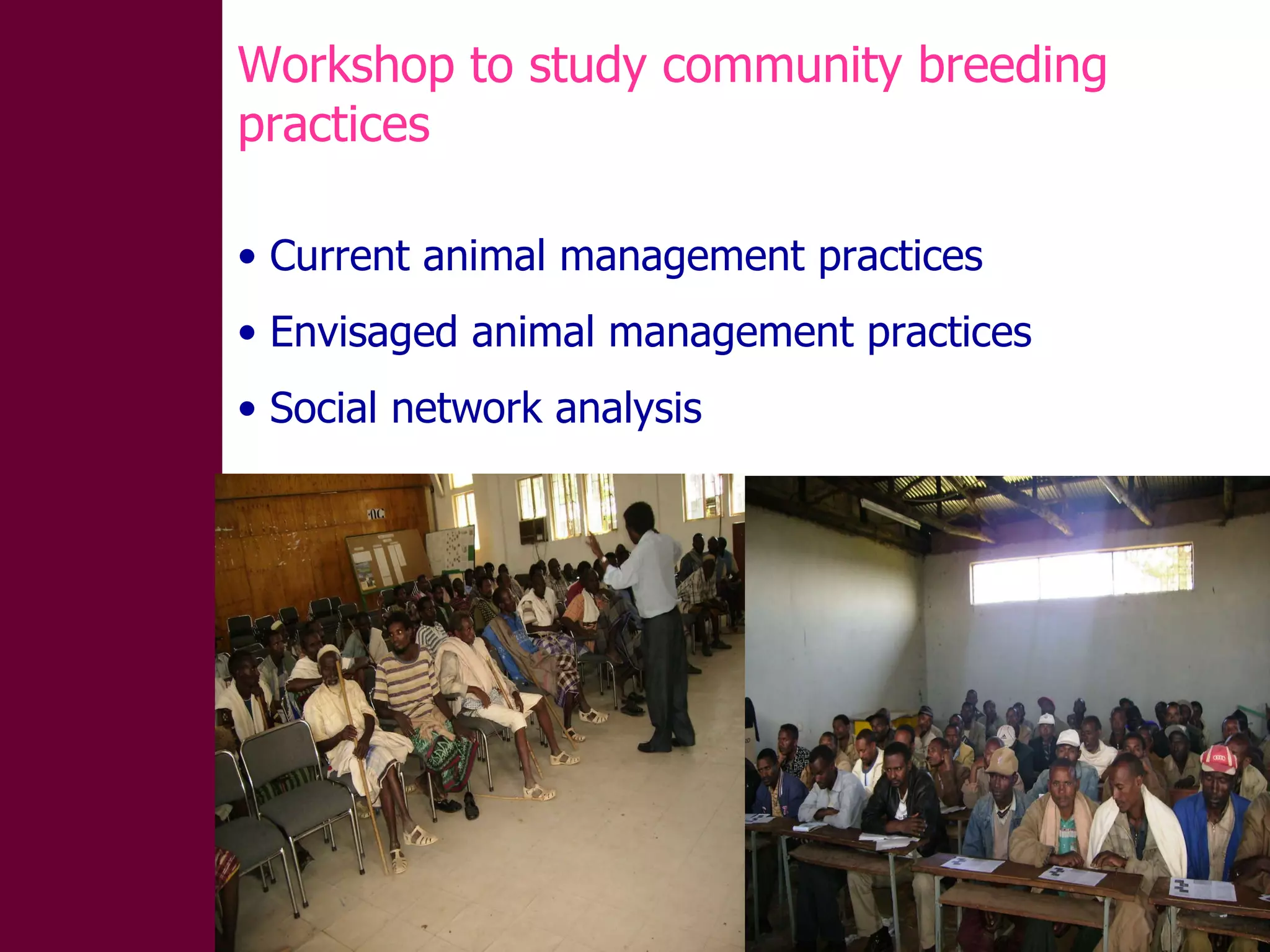 Designing and implementation of community-based breeding programs for ...