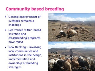 Designing and implementation of community-based breeding programs for ...