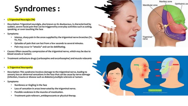 5th and 7th cranial nerves (haneen) (1).pdf
