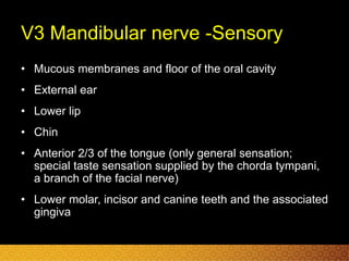 Trigeminal nerve and facial nerve neuroanatomy | PPTX