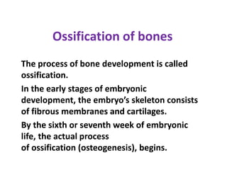 5th bones ossification.pptx