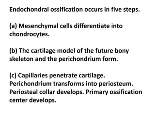 5th bones ossification.pptx
