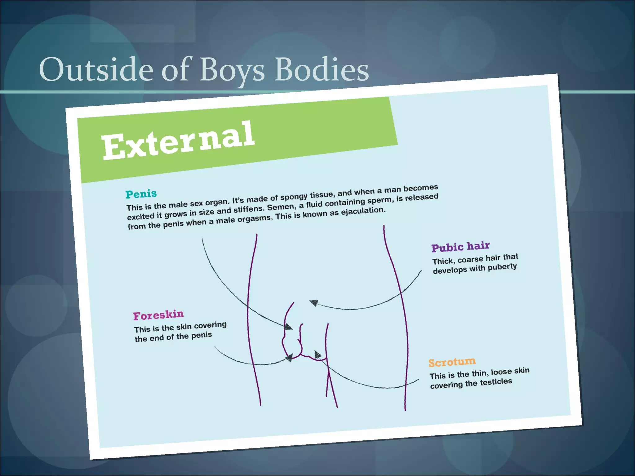 5th boys and puberty day 2 | PPT