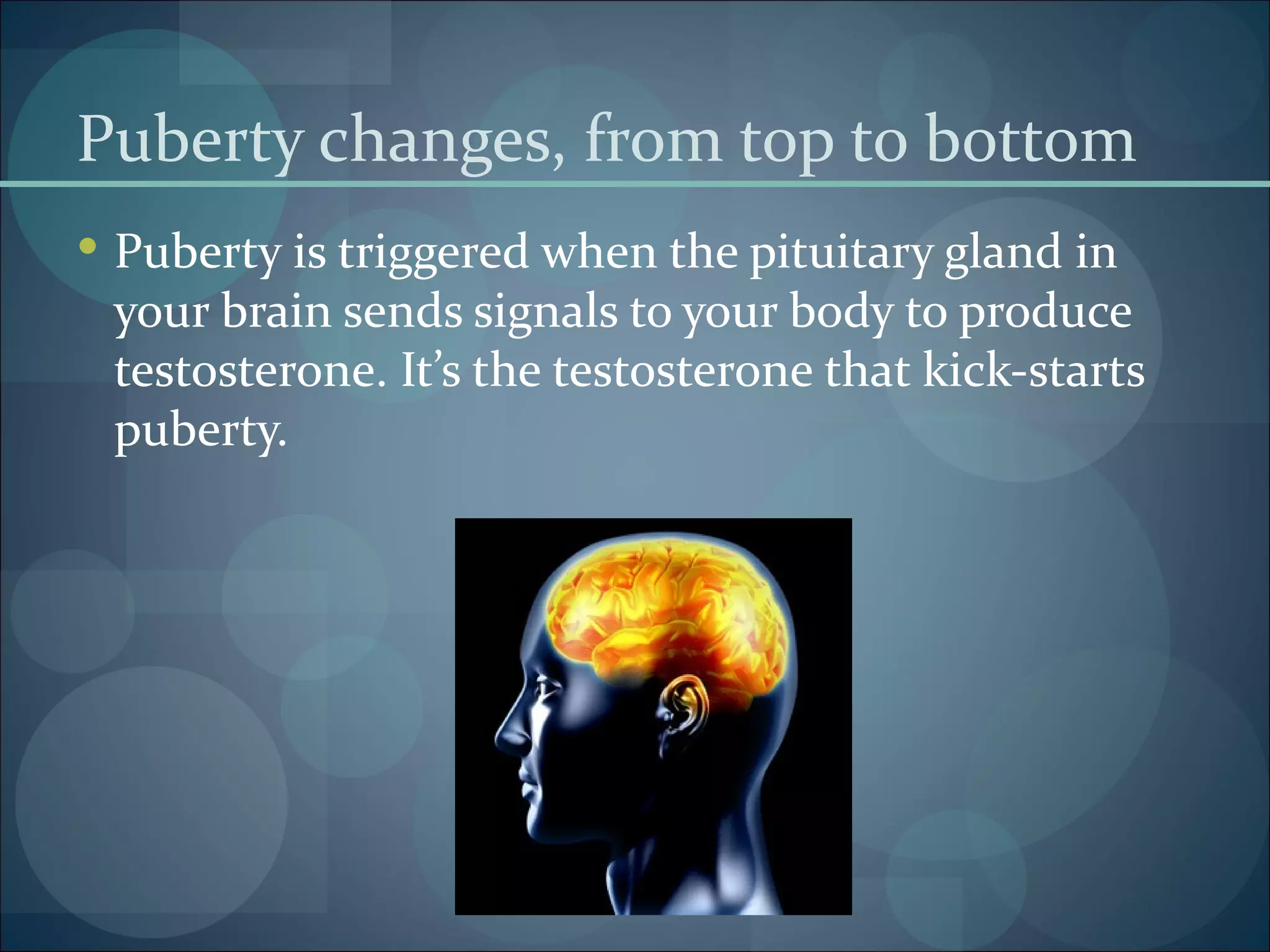 5th boys and puberty day 2 | PPT