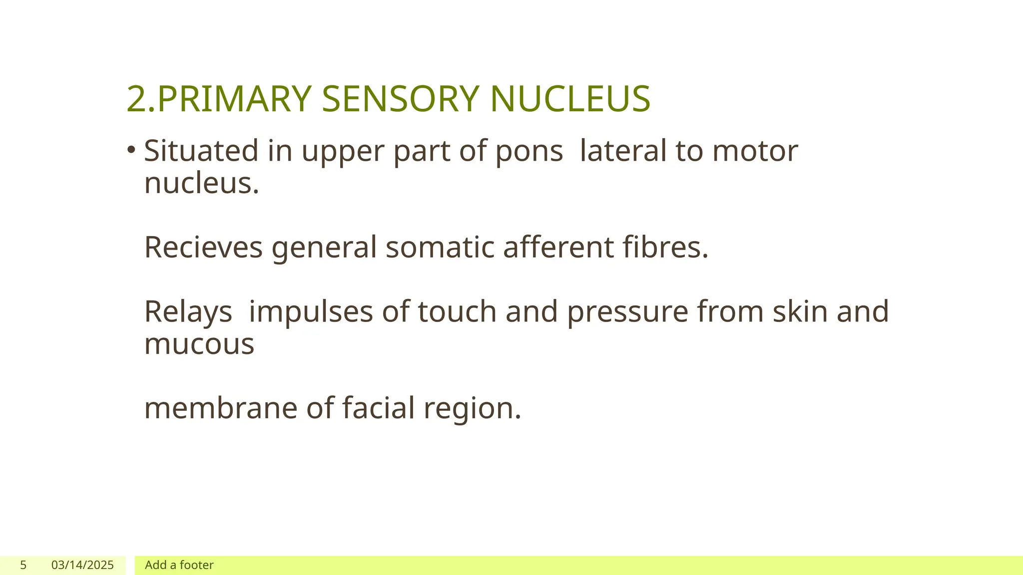 5th cranial nerve TRIGEMINAL nerve anatomy.pptx