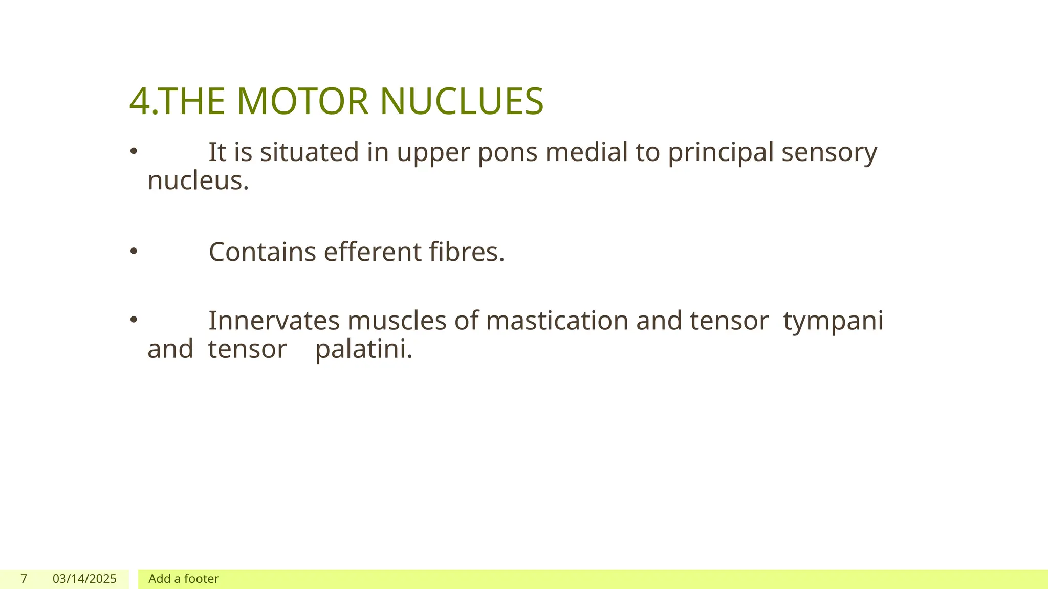 5th cranial nerve TRIGEMINAL nerve anatomy.pptx