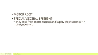 5th cranial nerve TRIGEMINAL nerve anatomy.pptx