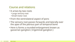 5th cranial nerve TRIGEMINAL nerve anatomy.pptx