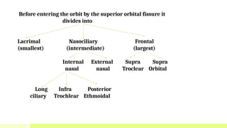 5th cranial nerve TRIGEMINAL nerve anatomy.pptx