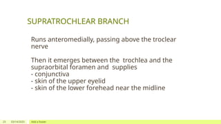 5th cranial nerve TRIGEMINAL nerve anatomy.pptx