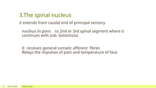 5th cranial nerve TRIGEMINAL nerve anatomy.pptx