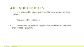 5th cranial nerve TRIGEMINAL nerve anatomy.pptx