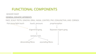 5th cranial nerve TRIGEMINAL nerve anatomy.pptx