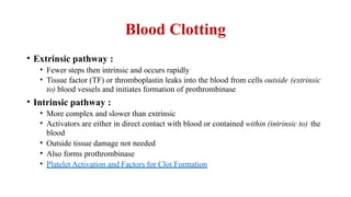 5 The Blood and its composition function | PPTX
