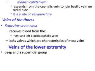 Anatomy of THE CIRCULATORY SYSTEM hand out.pptx