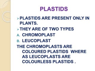5 the fundamental unit of life | PPTX | Biological Sciences | Science