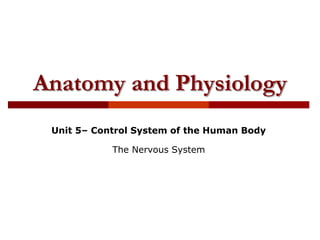 5) The Nervous System.pdf and anatomy ok | PPT