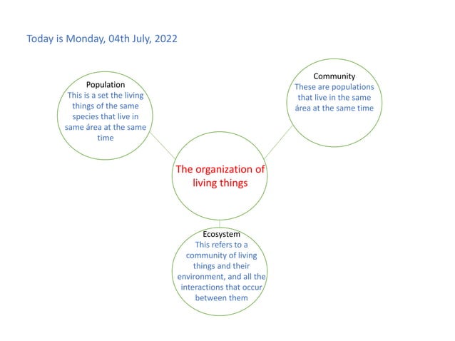 5 the organization of living things.pptx