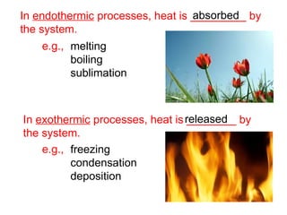Thermodynamics_ Thermochemistry explaination | PPTX