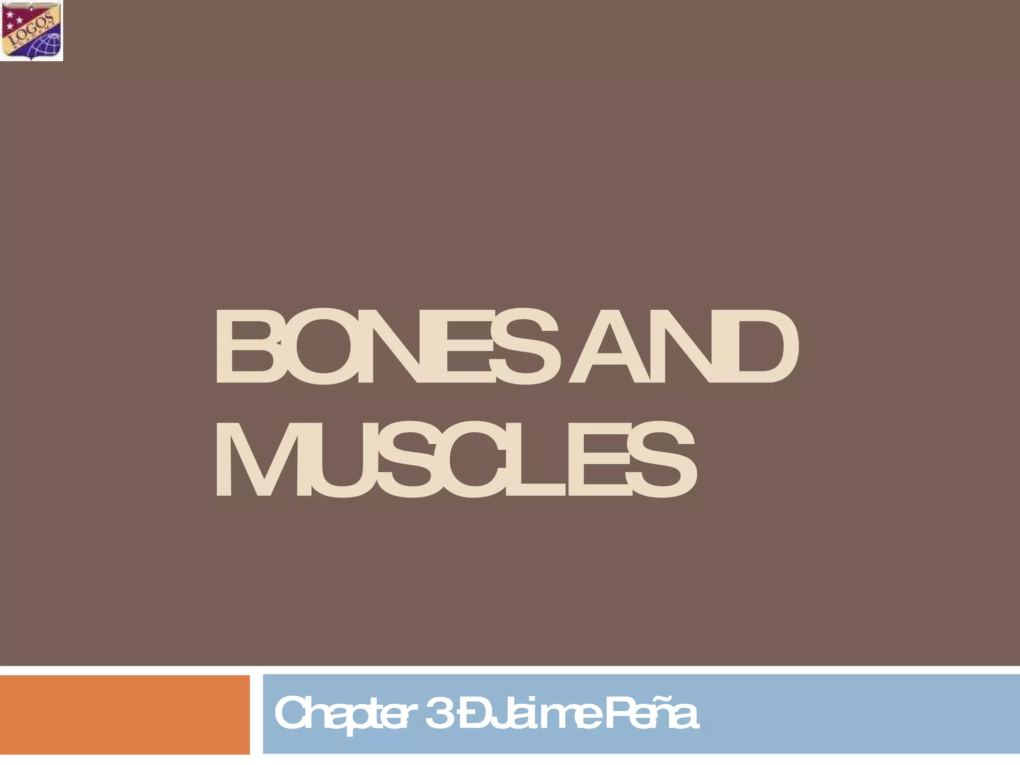 The Skeleton Bones And Muscles Mr. Jaime 5th. BáSico | PPT