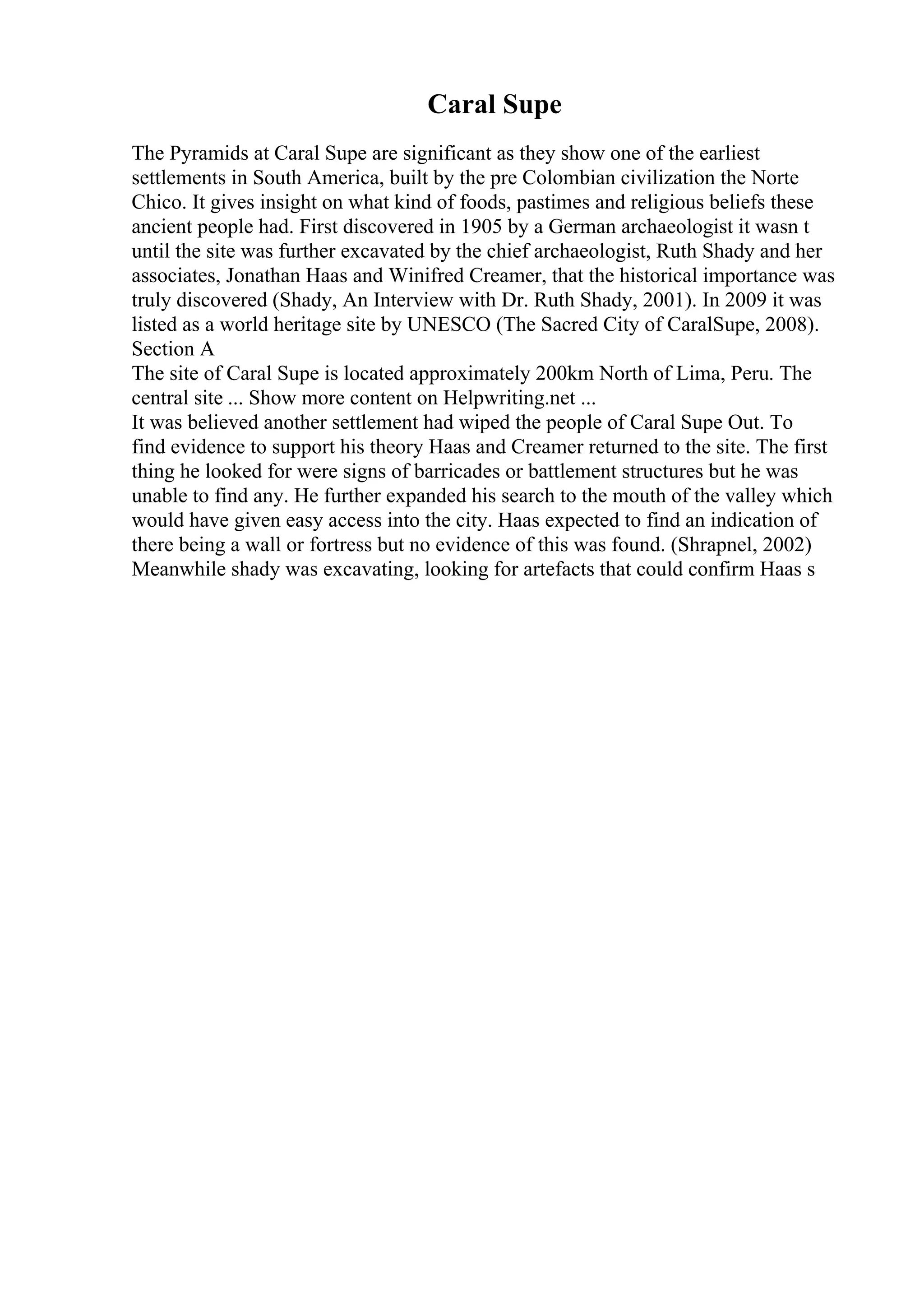 5Th Grade Persuasive Essay Examples | PDF