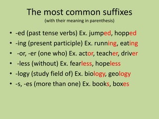 5th Grade Prefixes, Suffixes & Roots | PPTX
