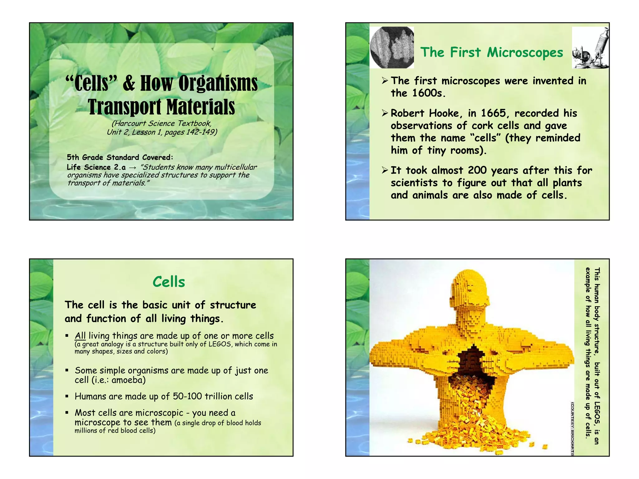 5th grade science_-_cells_the_transport_of_materials_u2_l1_ | PDF | Gardening | Home & Garden