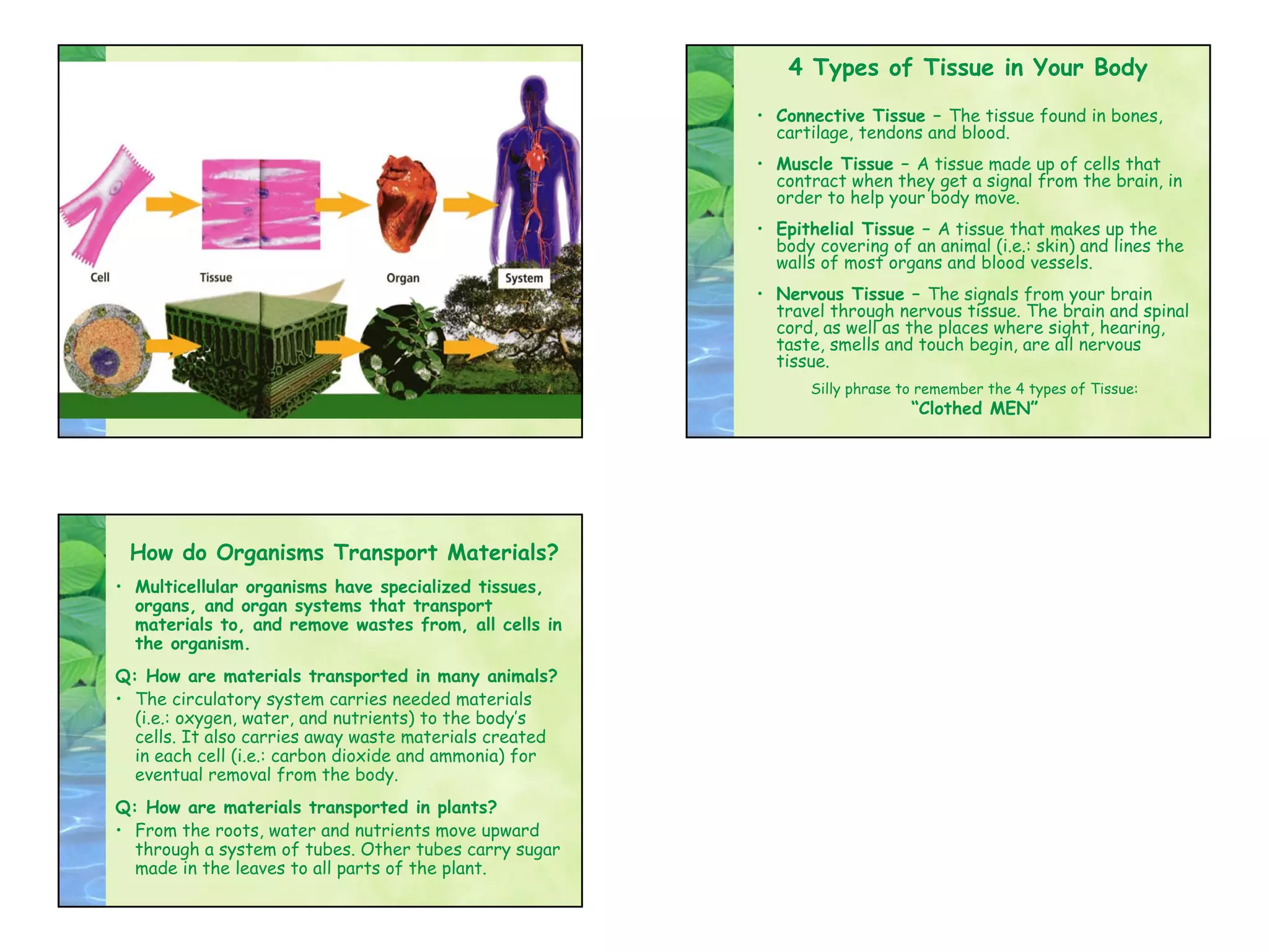5th grade science_-_cells_the_transport_of_materials_u2_l1_ | PDF ...